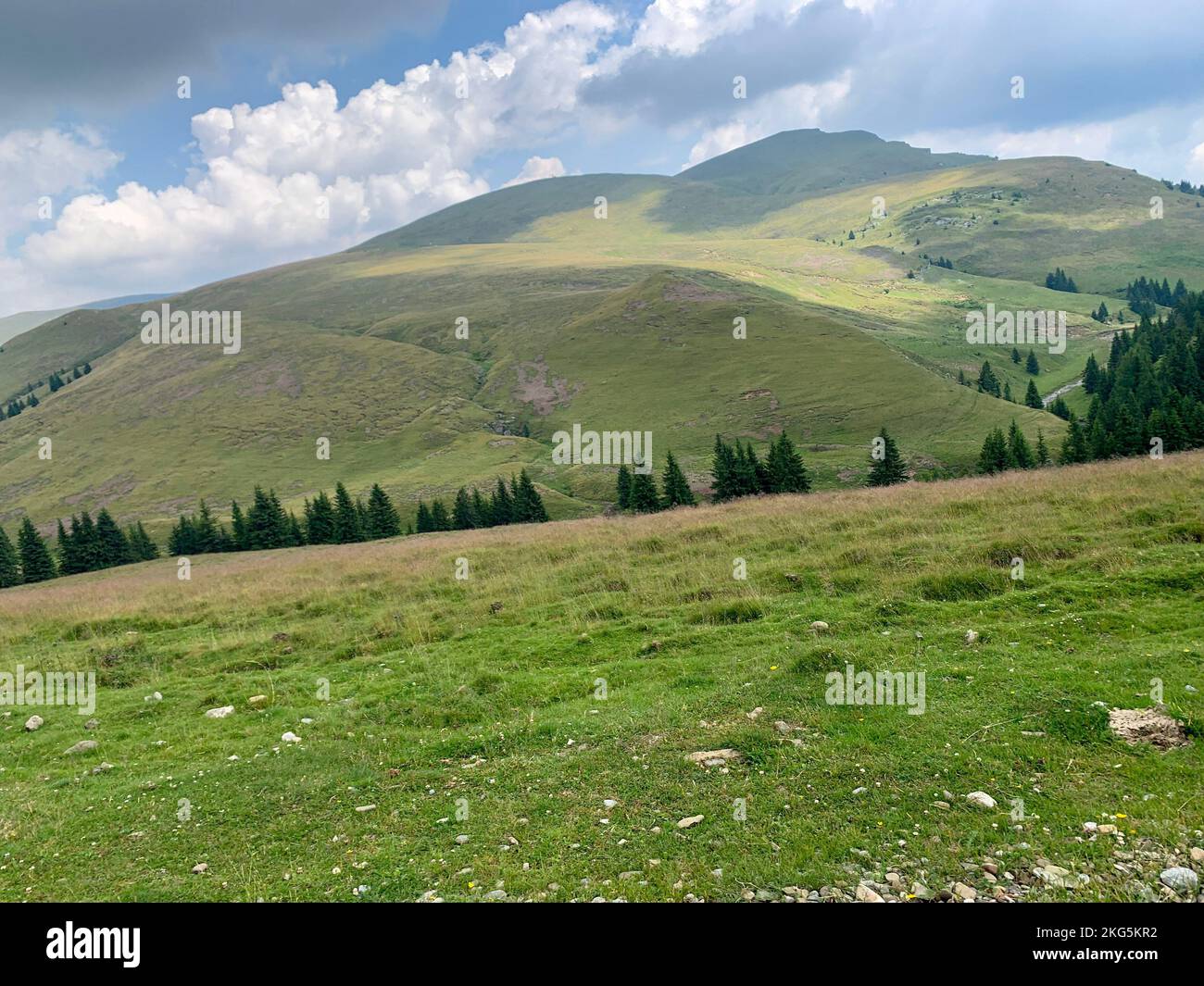 A scenic shot of a green grass field with a mountain in the background ...