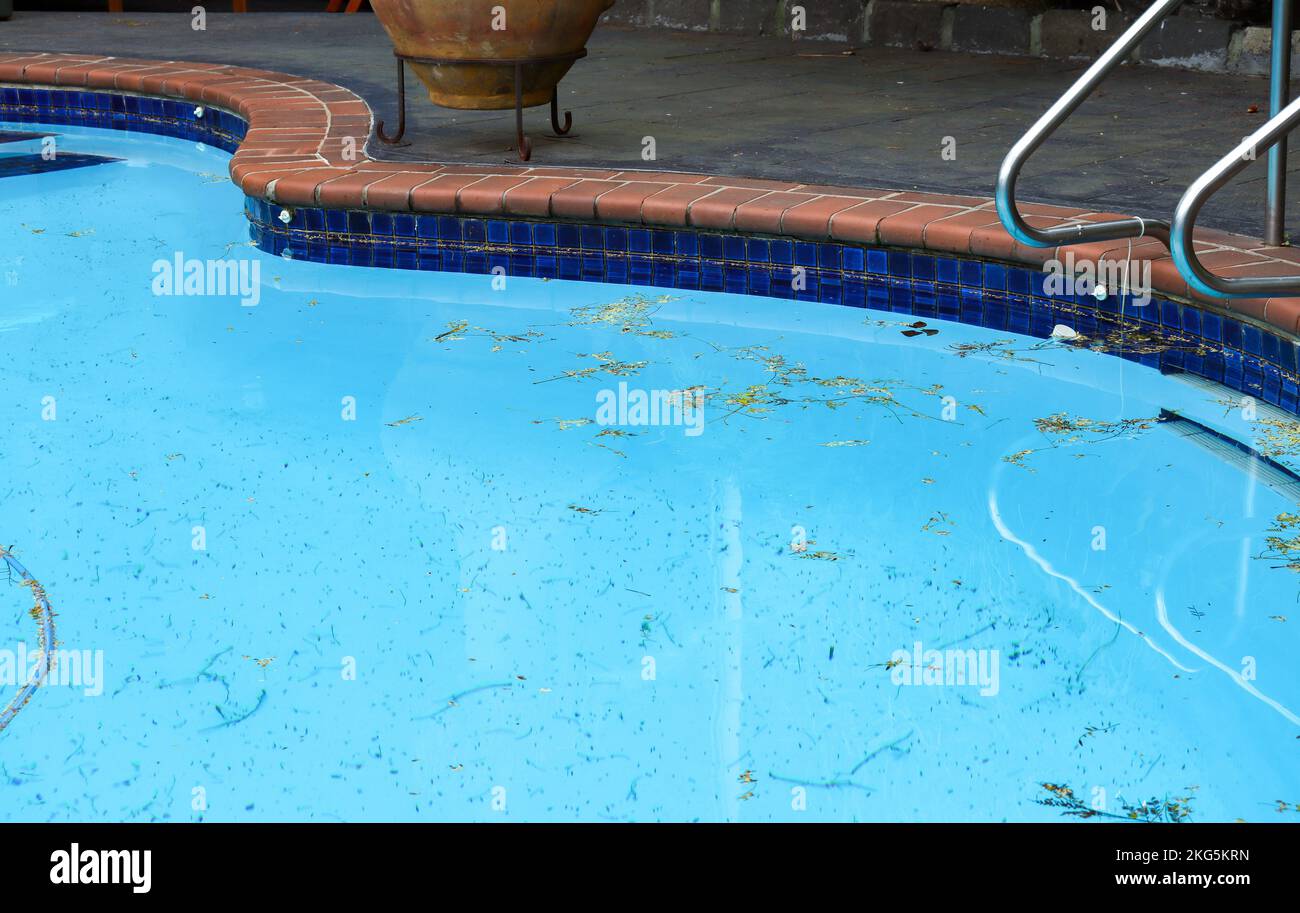 A high angle shot of a swimming pool with dry leaves on the water Stock ...