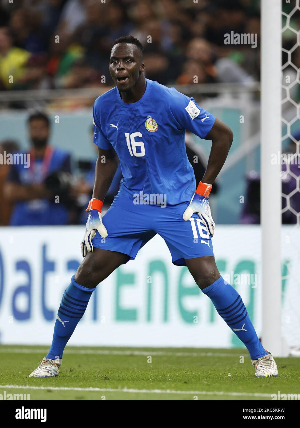 Doha, Qatar. 21st Nov, 2022. DOHA - Senegal goalkeeper Edouard Mendy ...