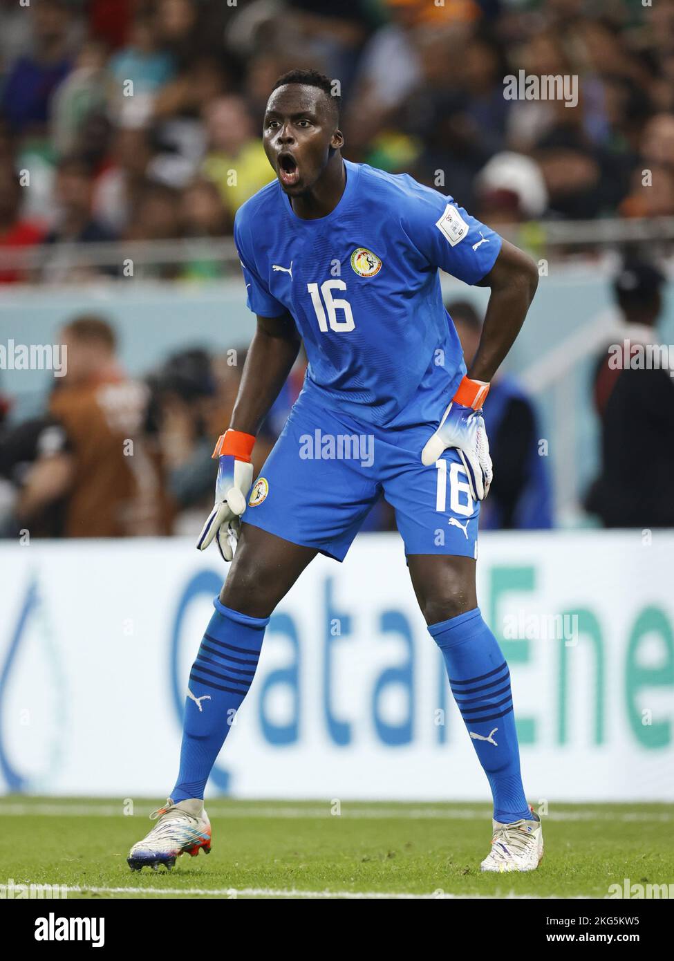 Doha, Qatar. 21st Nov, 2022. DOHA - Senegal goalkeeper Edouard Mendy ...