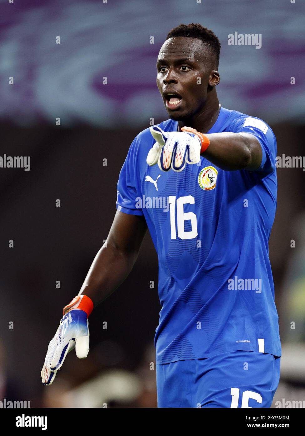 Doha, Qatar. 21st Nov, 2022. DOHA - Senegal goalkeeper Edouard Mendy ...