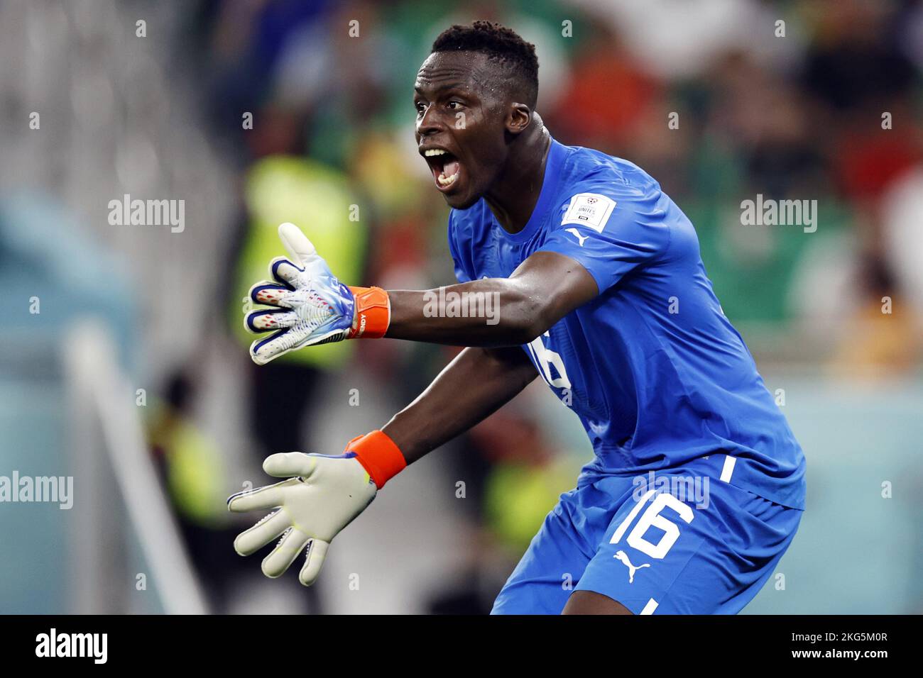 Doha, Qatar. 21st Nov, 2022. DOHA - Senegal goalkeeper Edouard Mendy ...