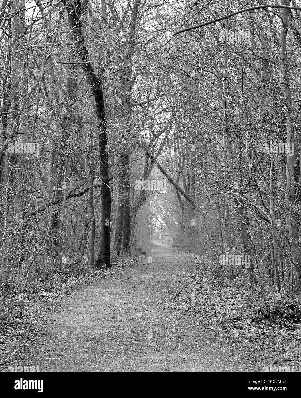 Scenery on trail in Black and White Stock Photos & Images - Alamy