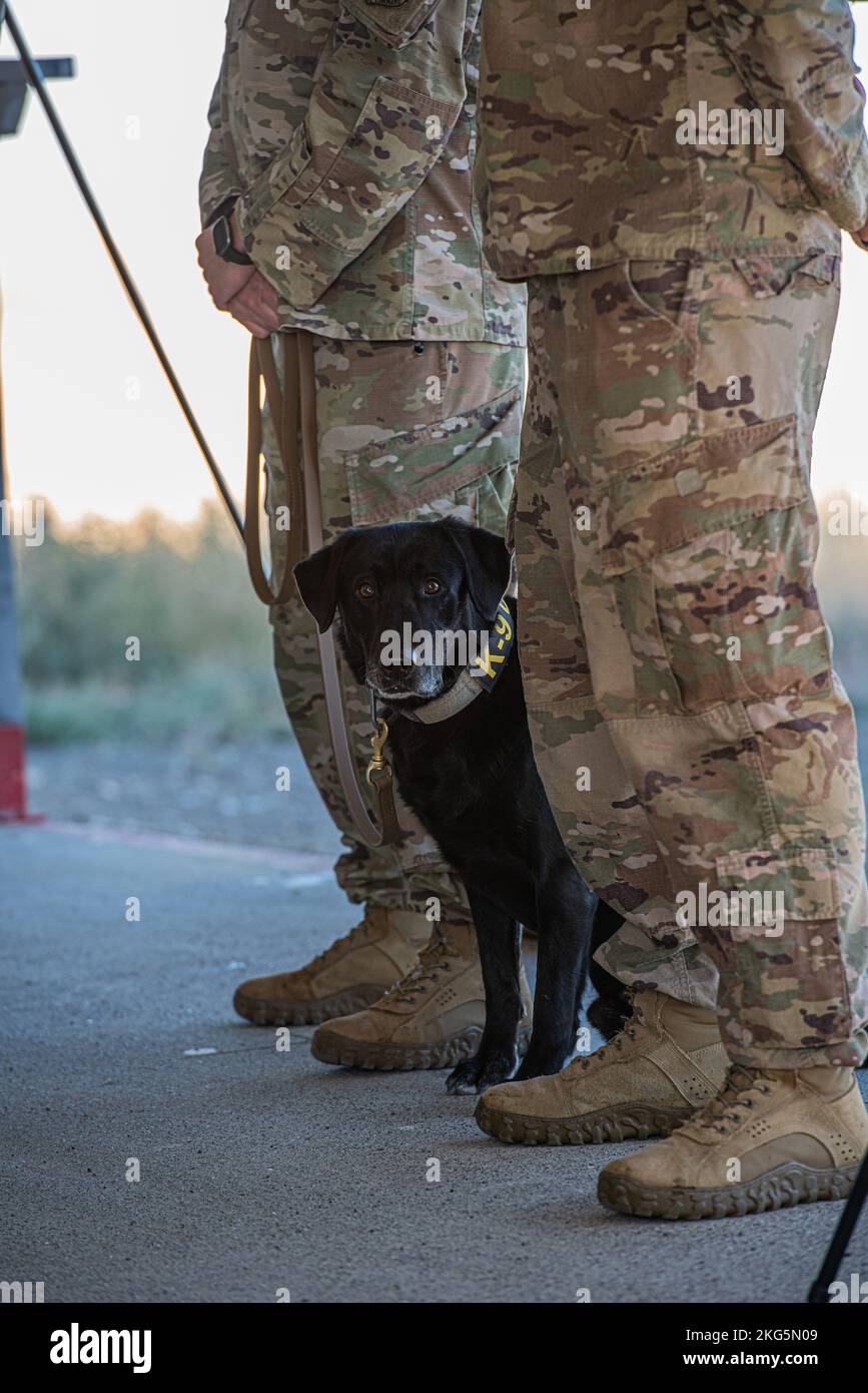 Tuxx, 366th Security Forces Squadron military working dog, monitors ...