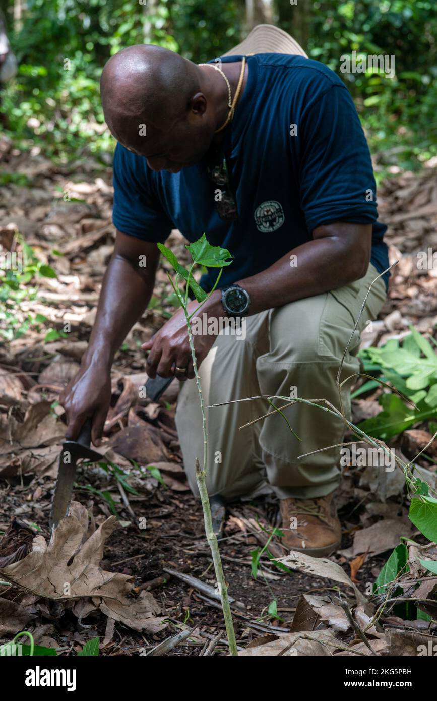 U.S. Army Master Sgt. Anthony Worsley, Senior Enlisted member of ...