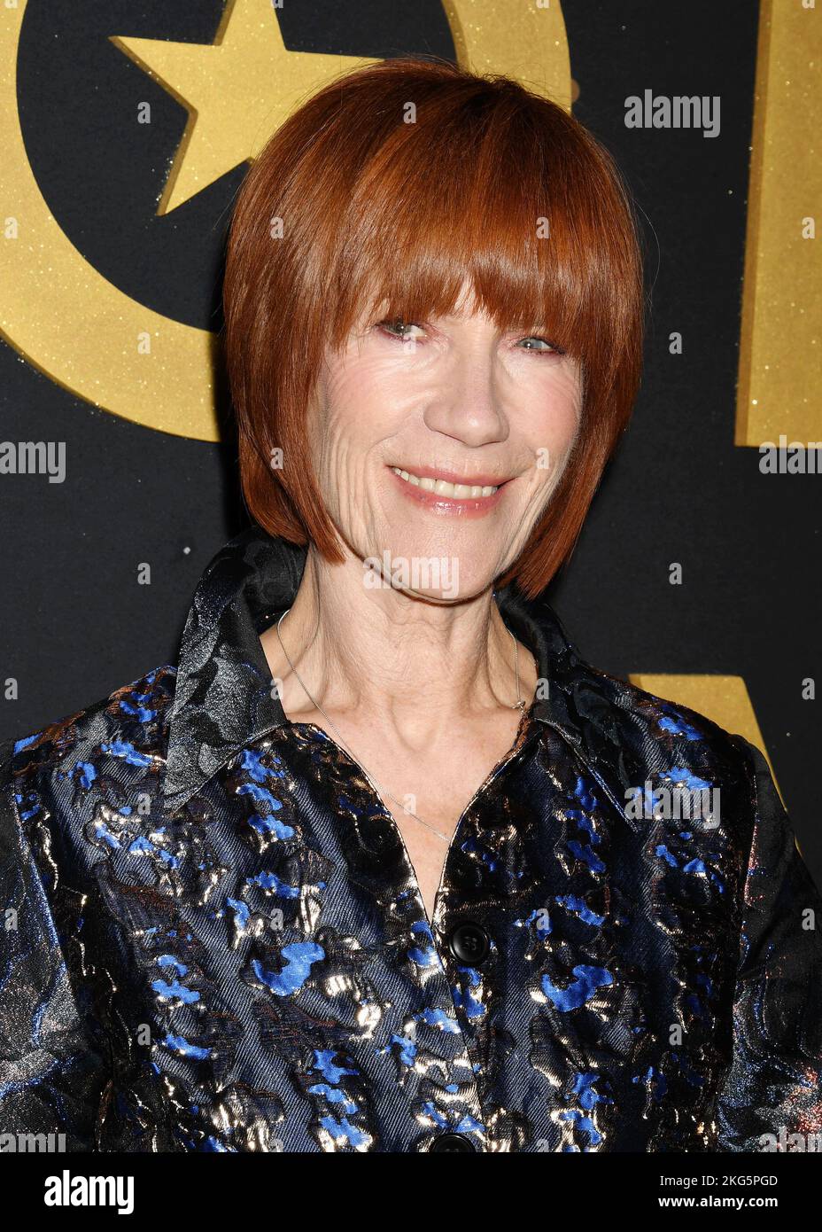 Los Angeles, California, USA. 20th Nov, 2022. Kiki Dee attends the ...