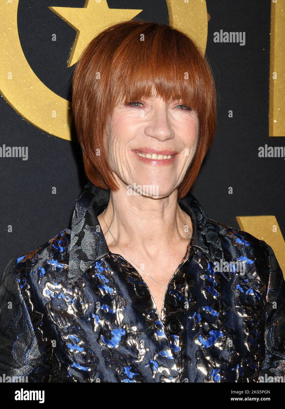 Los Angeles, California, USA. 20th Nov, 2022. Kiki Dee attends the Disney "Elton John Live ...