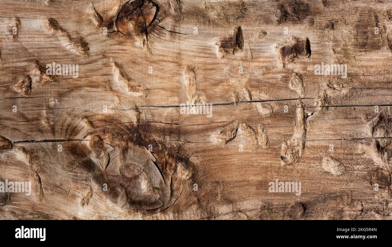 Tabla de textura hi-res stock photography and images - Alamy