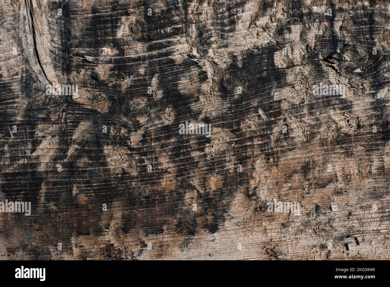 Tabla de tablero hi-res stock photography and images - Alamy