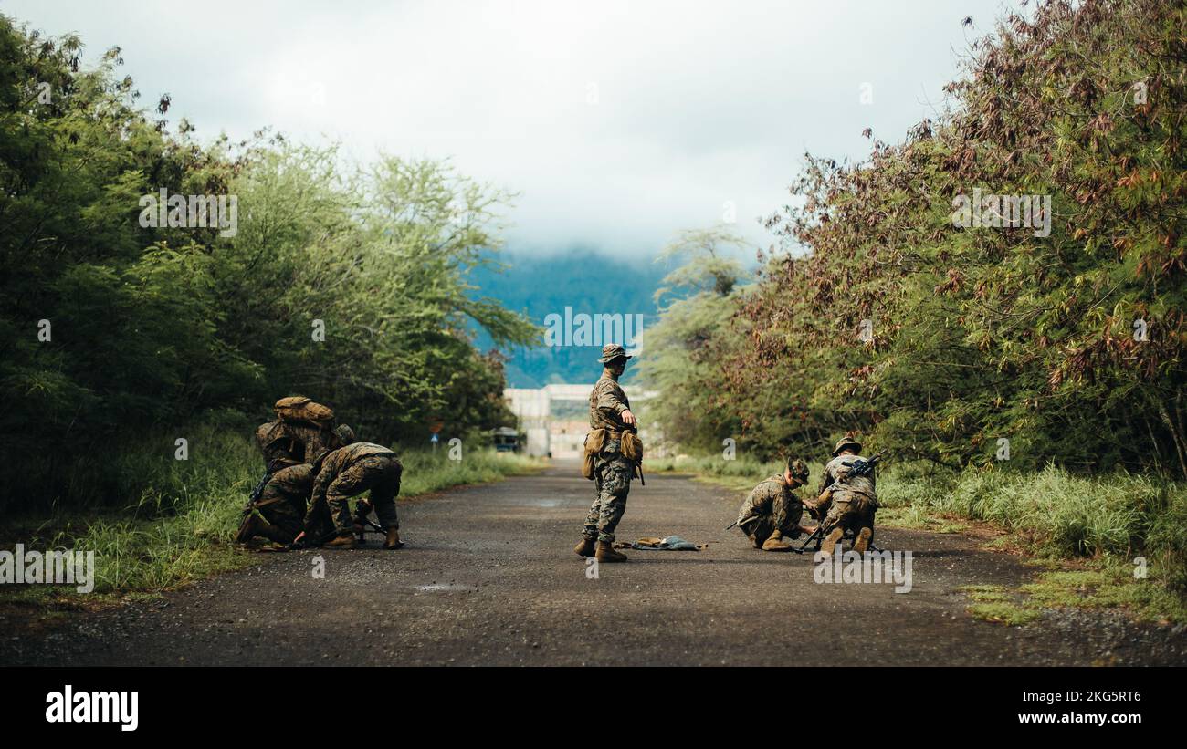 U.S. Marines with 3d Marine Littoral Regiment, 3d Marine Division ...