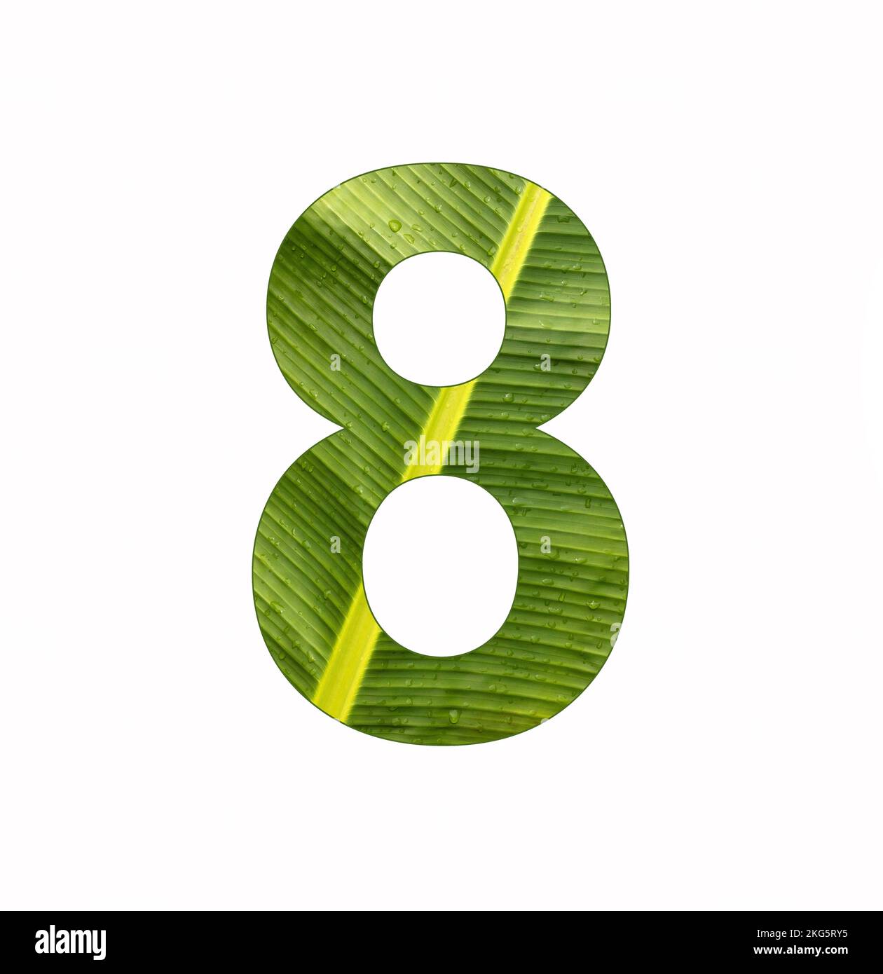 Number 8 - Digit eight on banana plant leaf background Stock Photo - Alamy