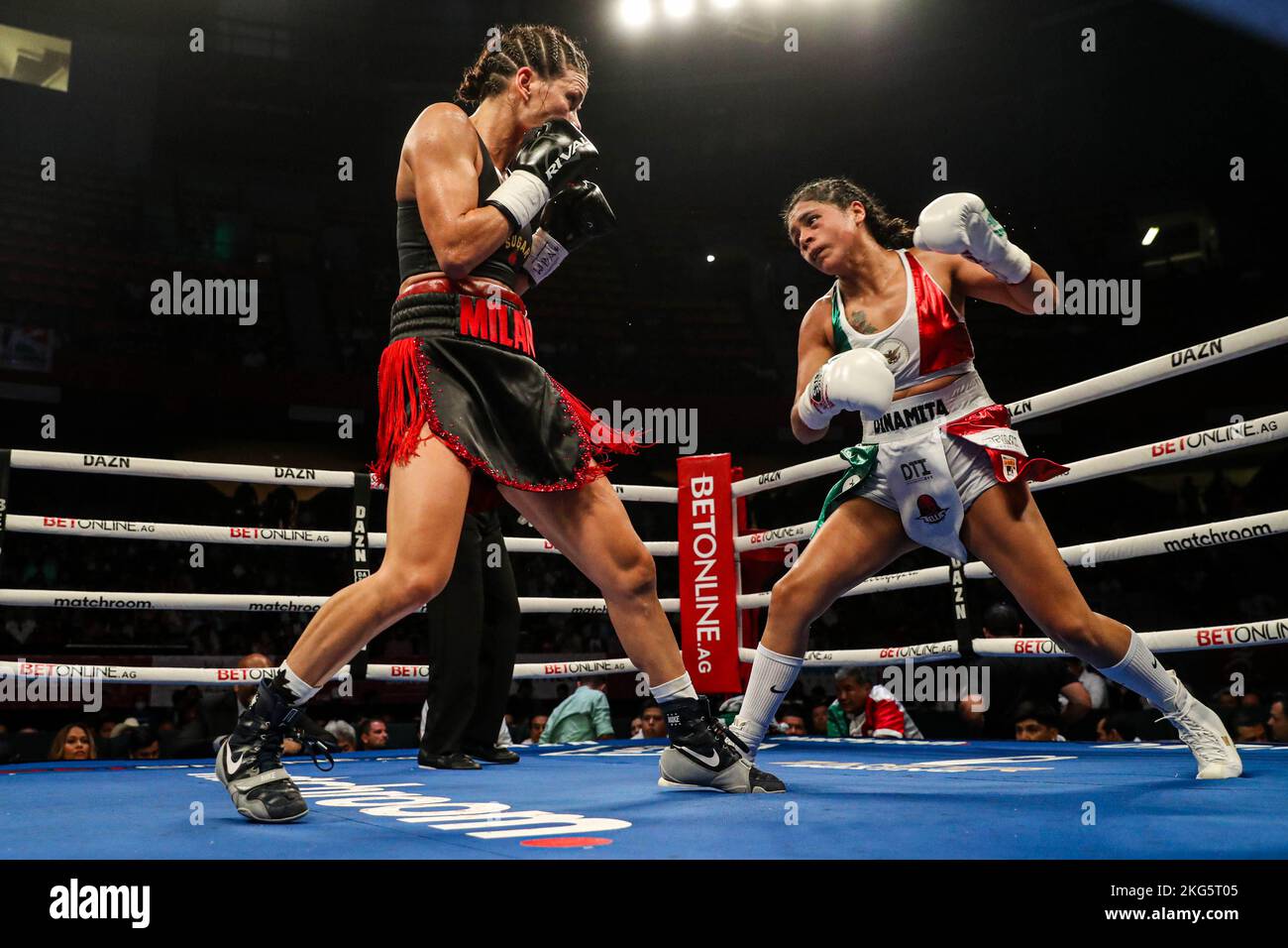 Jelena mrdjenovich hi-res stock photography and images - Alamy