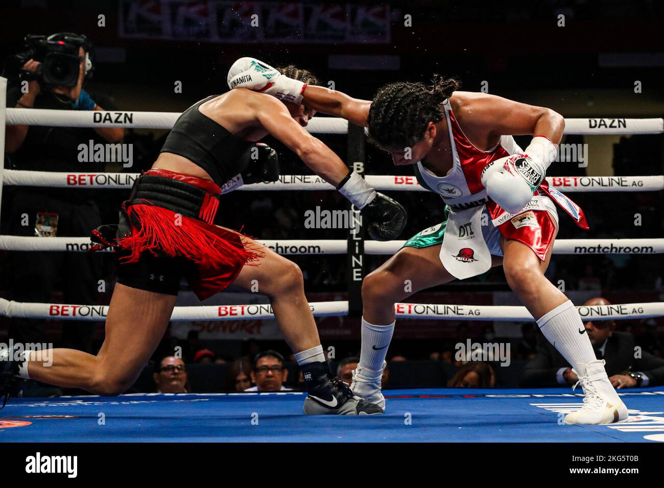 Jelena mrdjenovich hi-res stock photography and images - Alamy