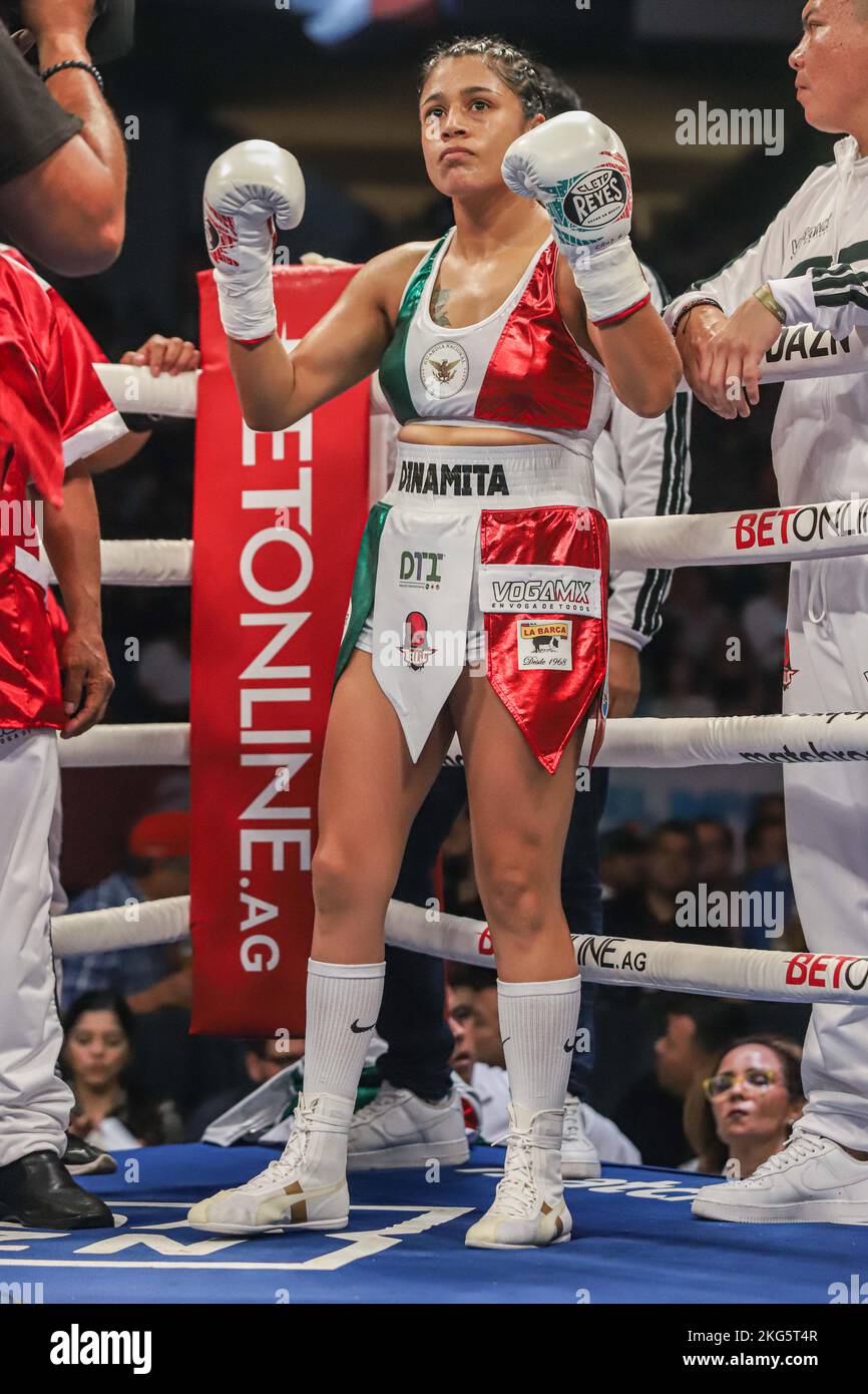 Mrdjenovich hi-res stock photography and images - Alamy