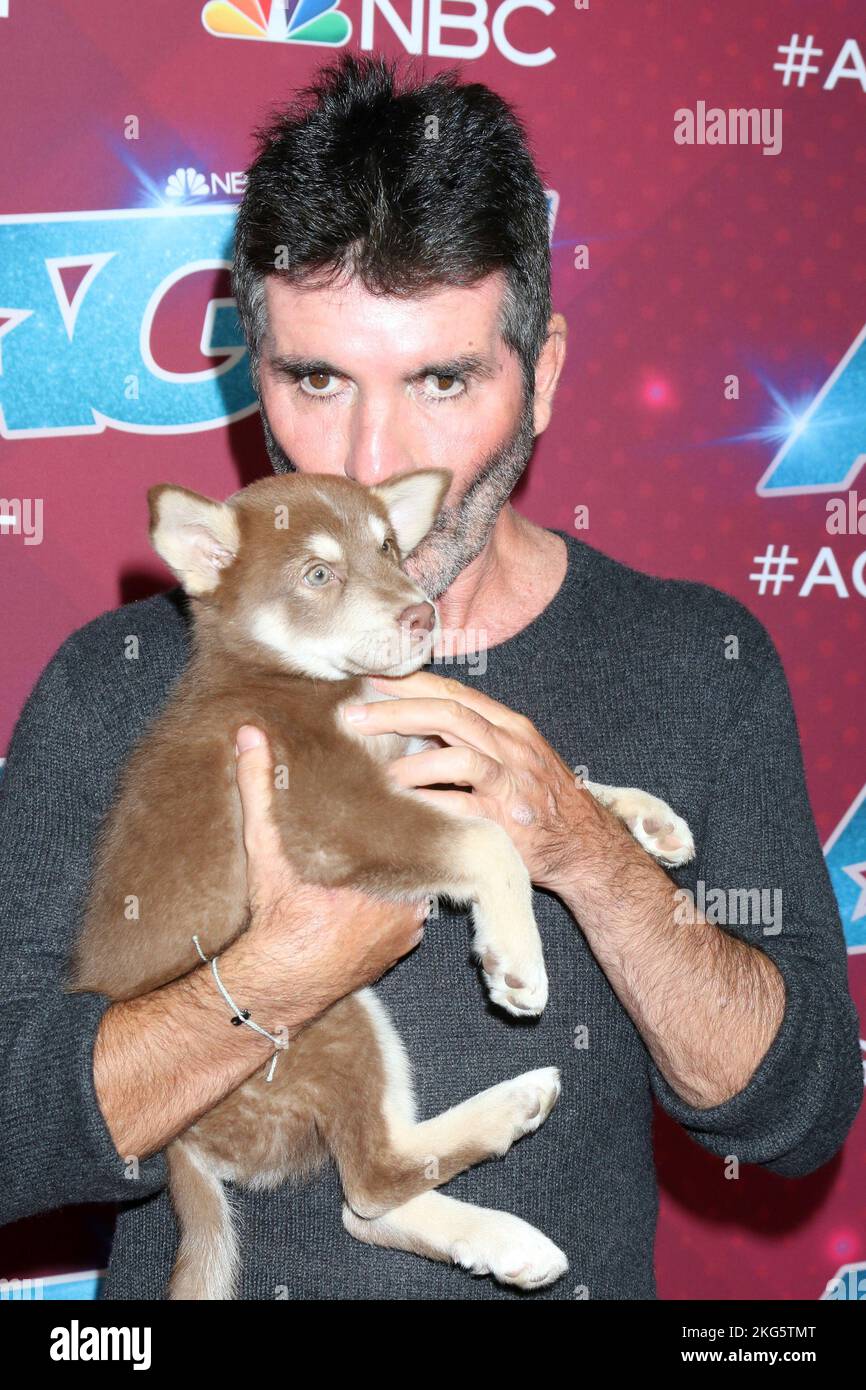 America's Got Talent Season 17 - Live Show Red Carpet at Pasadena ...