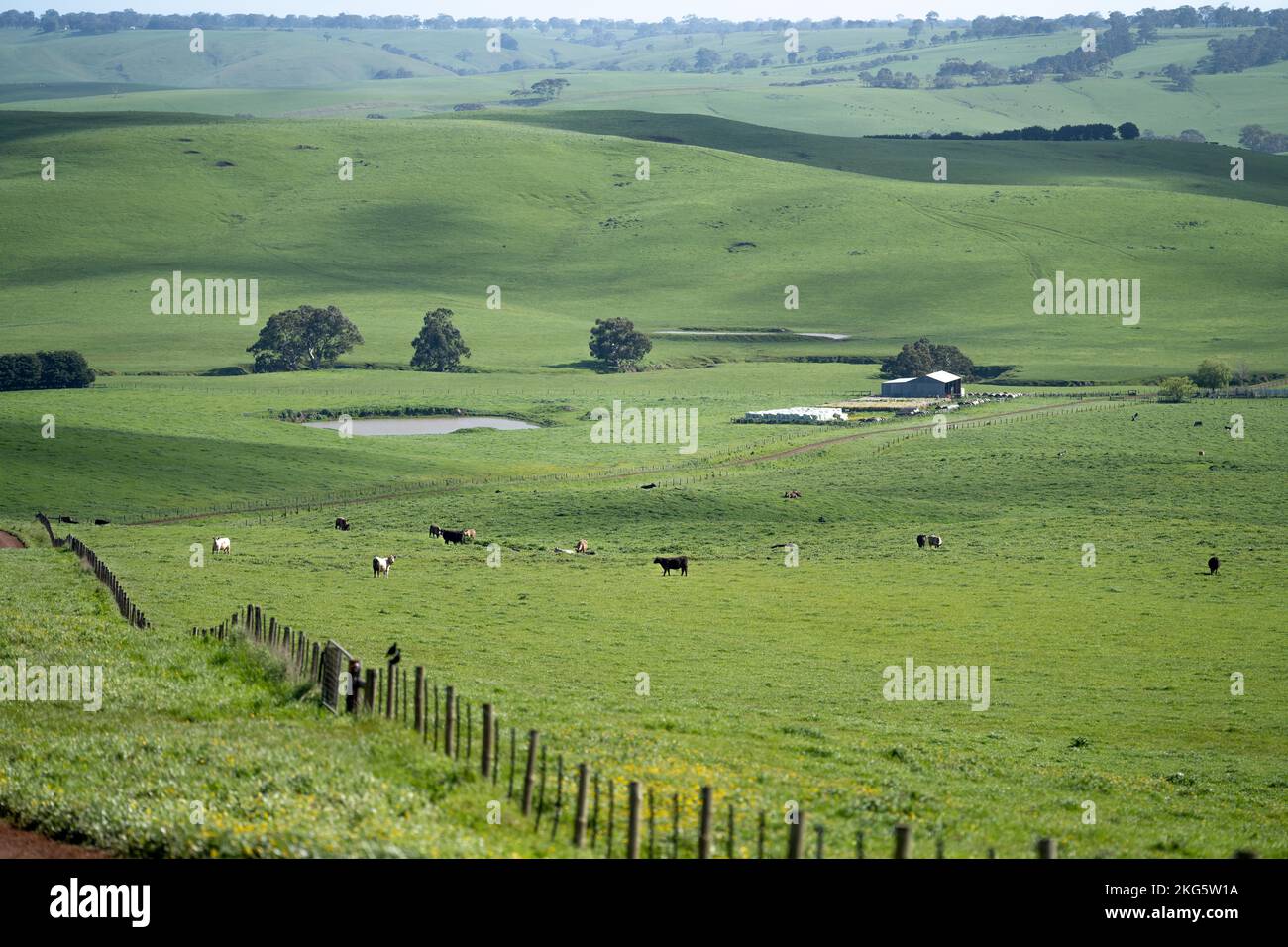 Brazil livestock farmer hi-res stock photography and images - Alamy