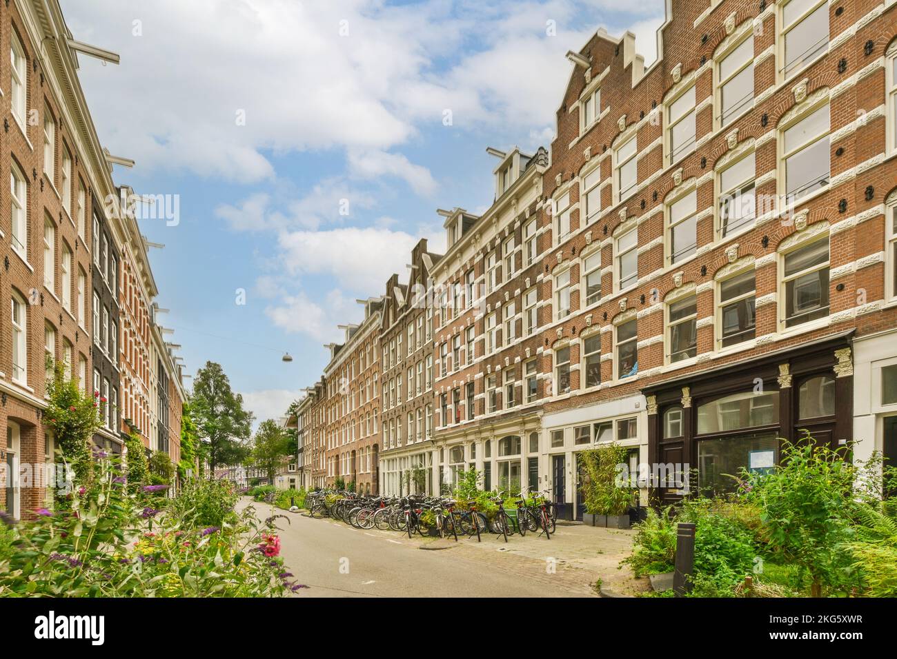 View of street near building with beauty of vegetation outside Stock ...