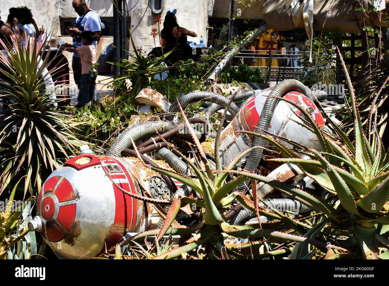 Star Wars Galaxy's Edge Astromech Droids Stock Photo - Alamy