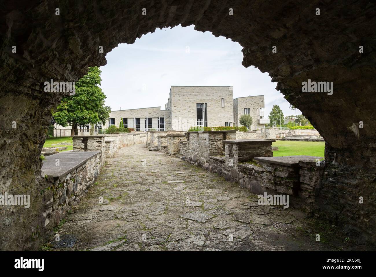 Stone arch of old Gothic ruins of Pirita monastery dedicated to St ...