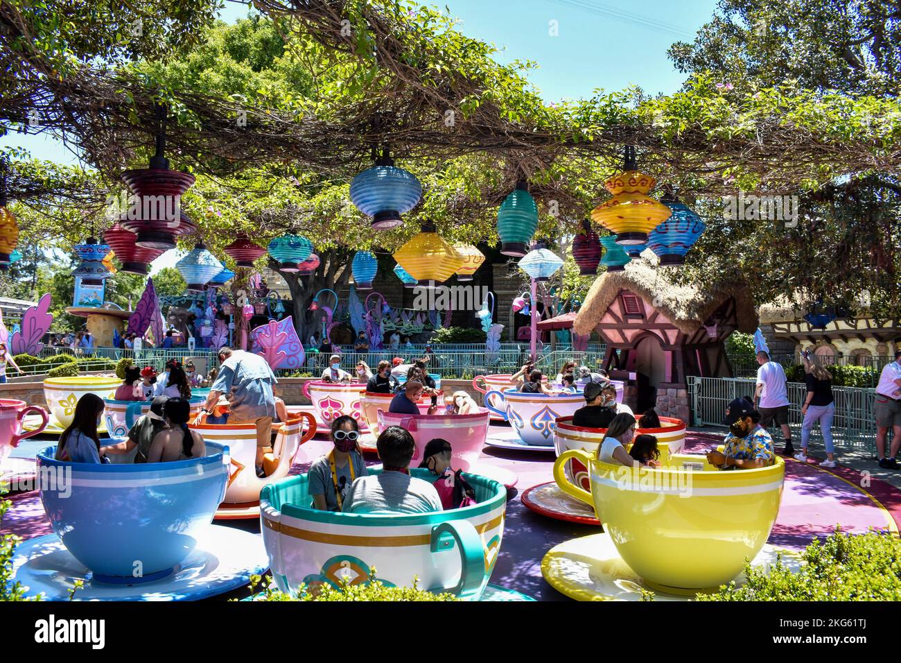 Teacup attraction disneyland hi-res stock photography and images - Alamy