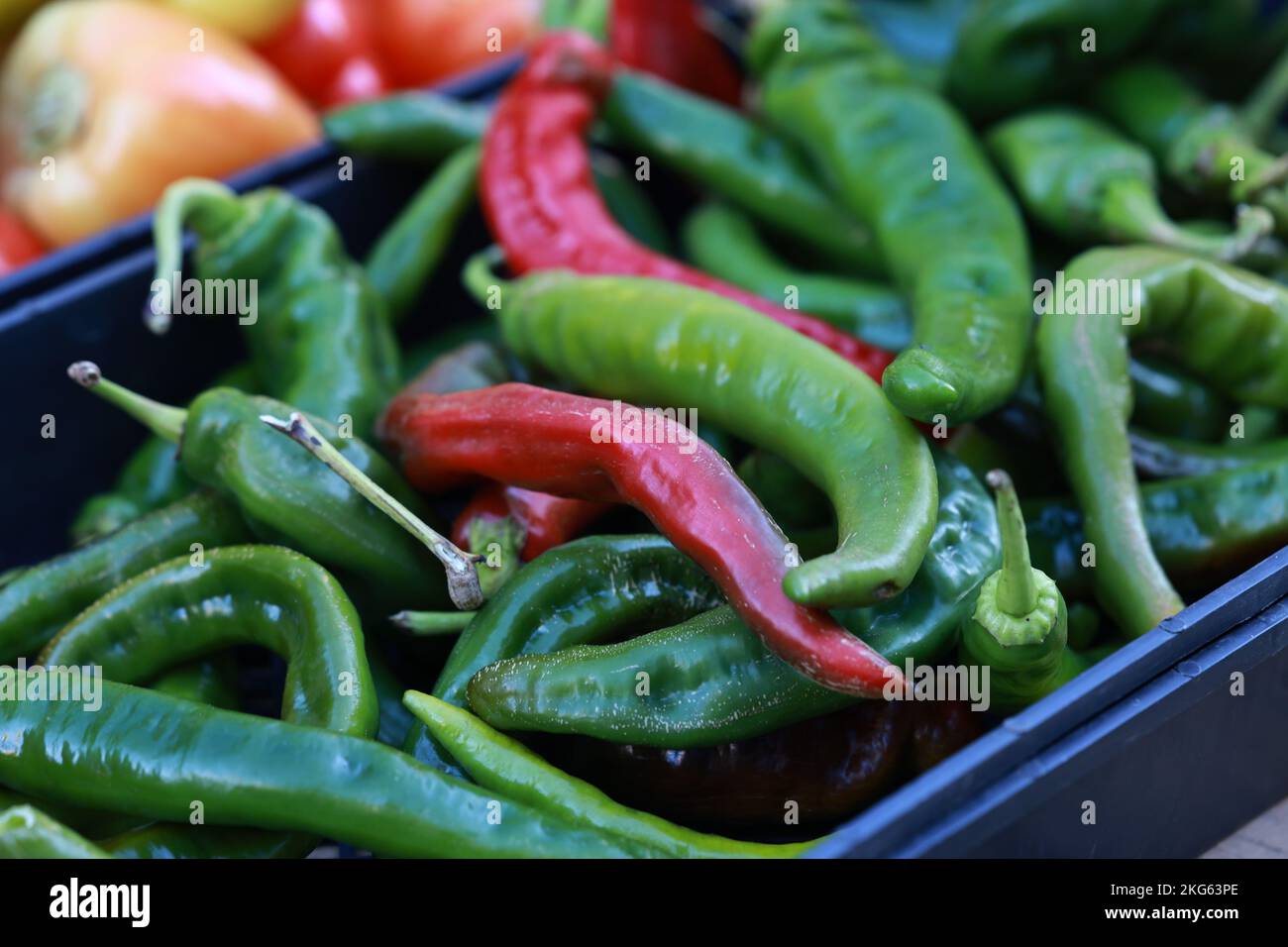 Peppers on display at a the Union Square in New York, New York ...