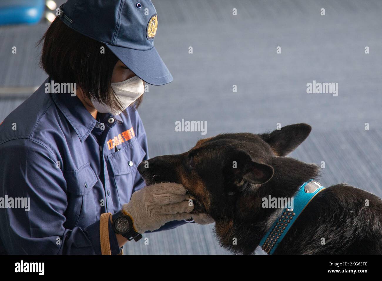 A Japan Maritime Self-Defense Force member rewards a military working ...