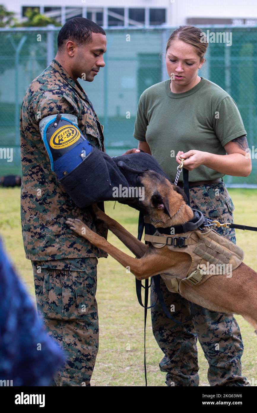U.S. Marine Corps Staff Sgt. Ishman Davis, a specialty section chief ...