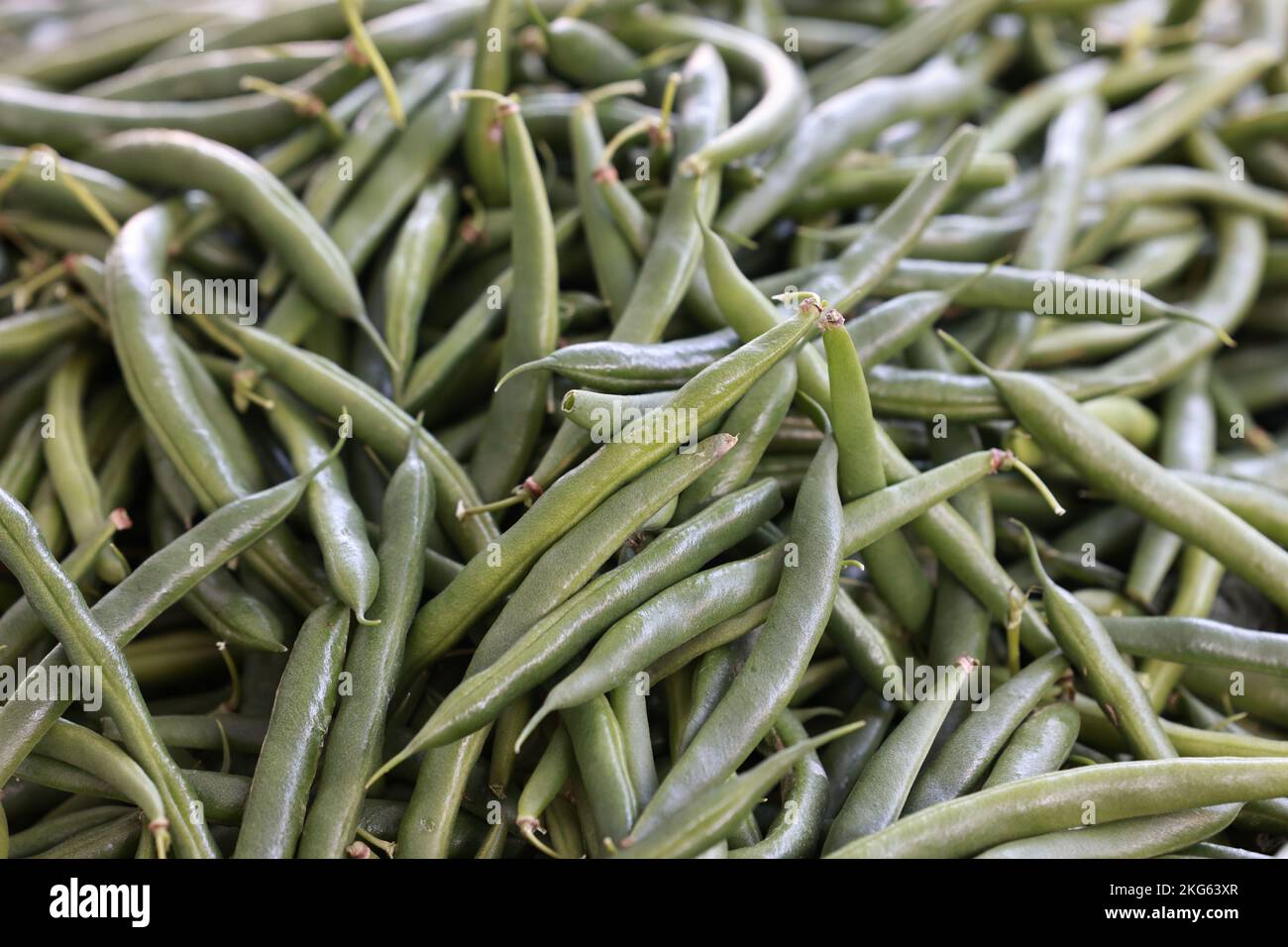 Green beans on display at a the Union Square in New York, New York ...