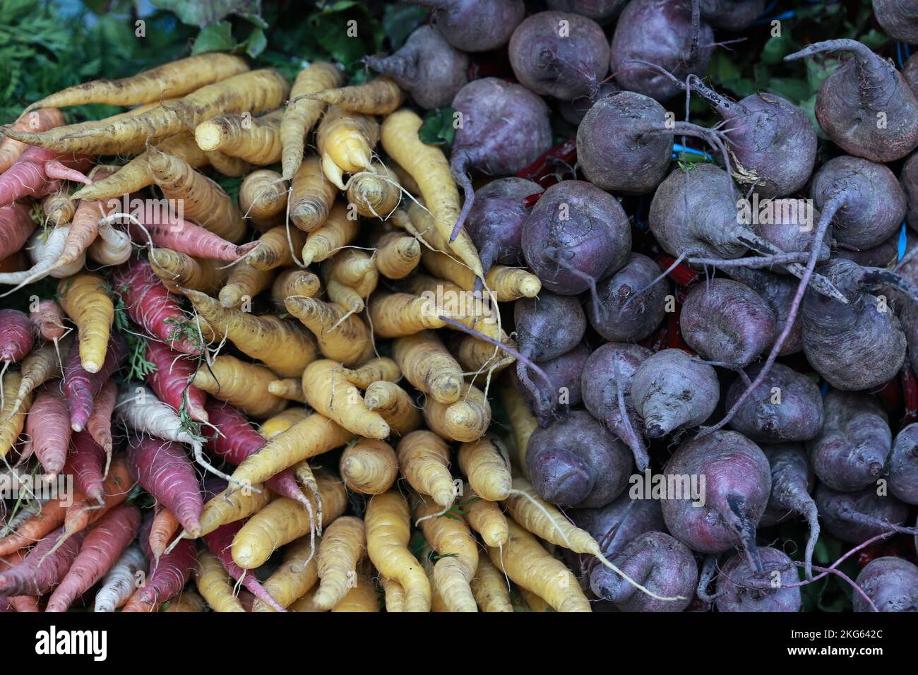 Vegetables on display at a the Union Square in New York, New York ...