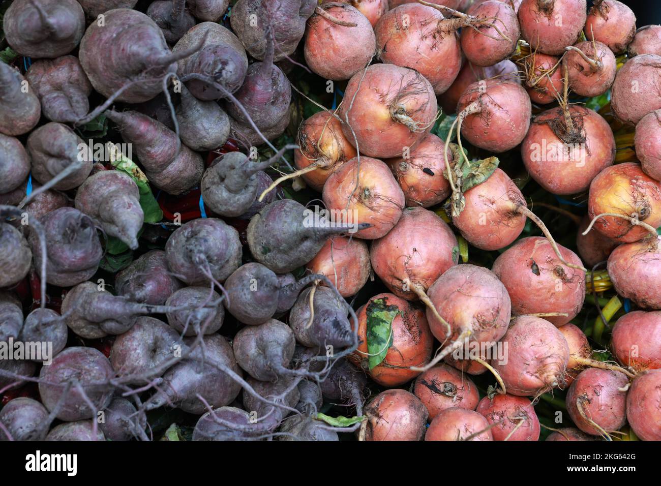 Vegetables on display at a the Union Square in New York, New York ...