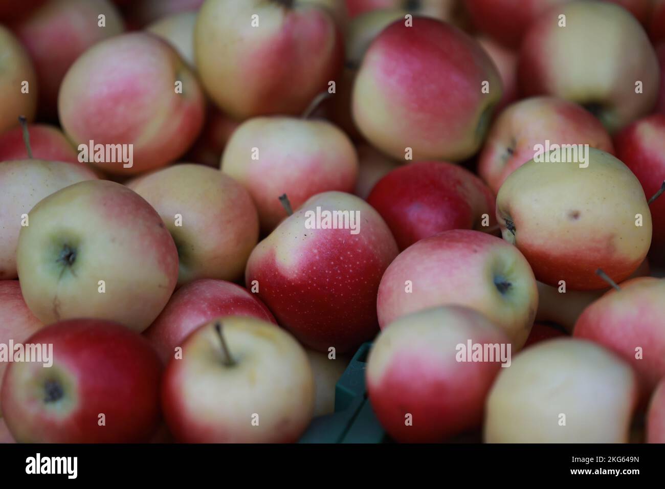 Apples on display at a the Union Square in New York, New York ...