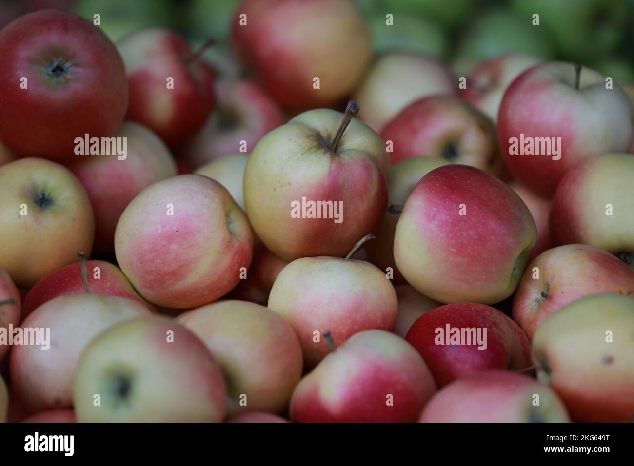 Apples on display at a the Union Square in New York, New York ...