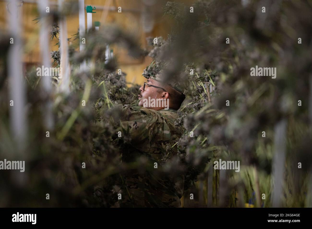 Okobnsad2022 hi-res stock photography and images - Alamy