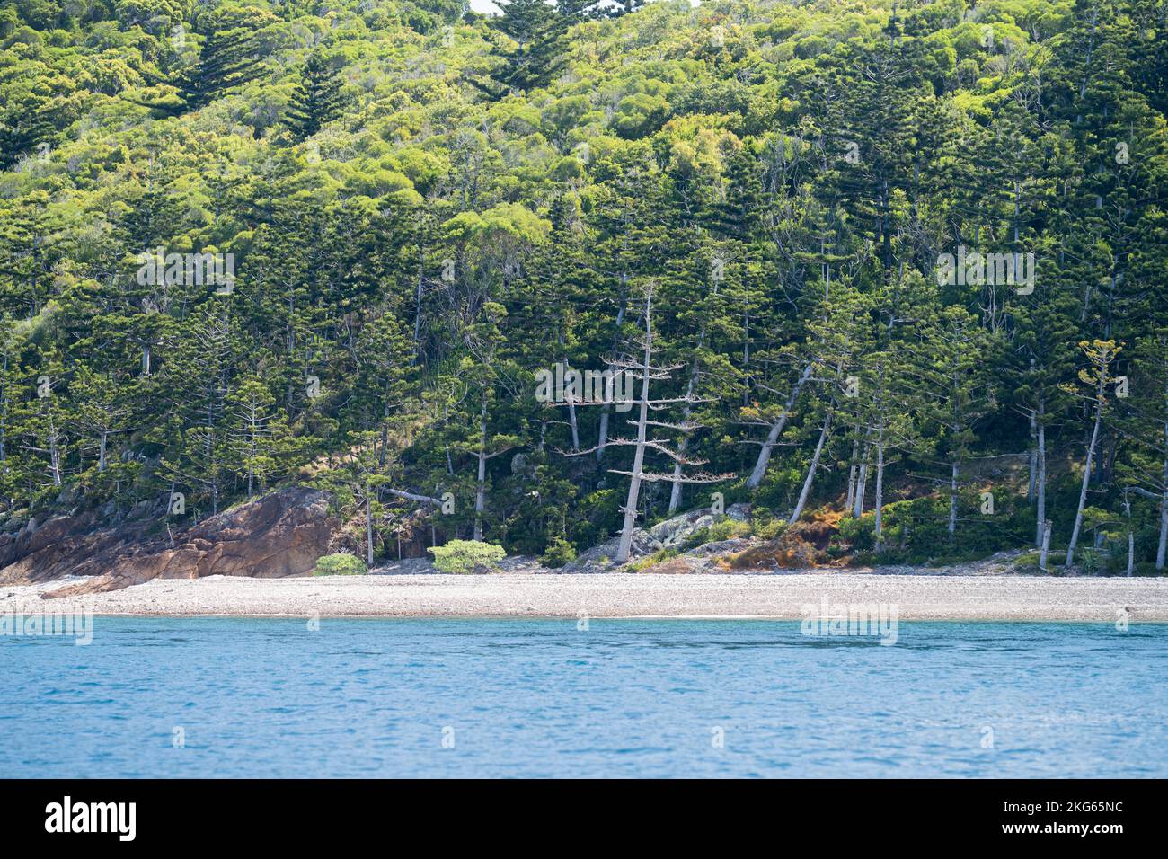 tropical islands and super yachts in queensland australia in spring ...