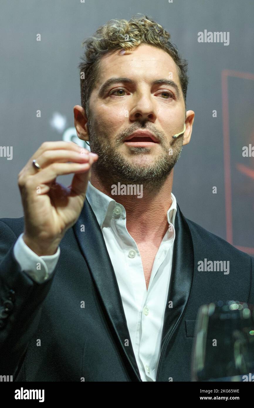 Madrid, Spain. 21st Nov, 2022. Singer David Bisbal seen during the ...