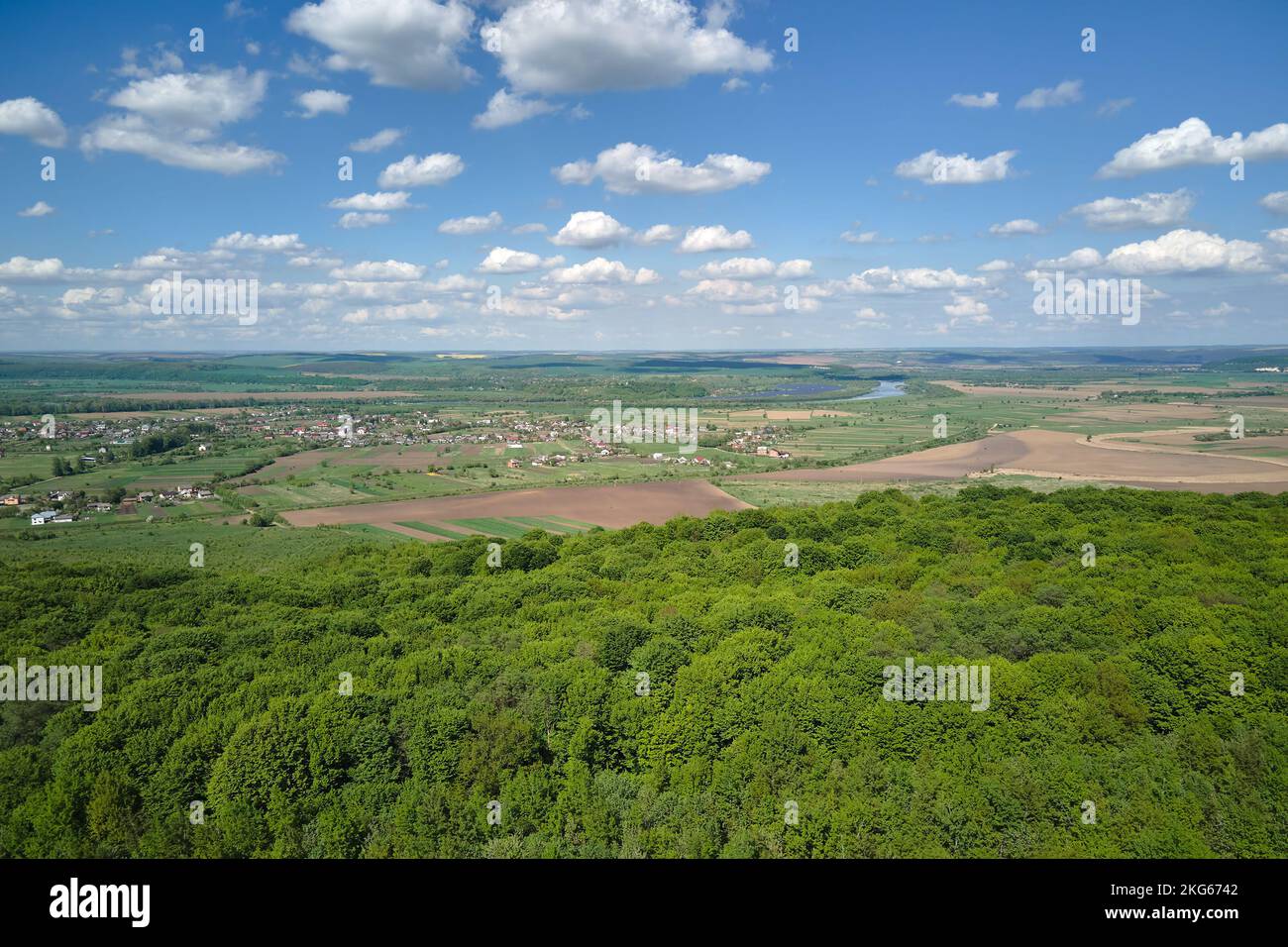 Aerial view of dark green lush forest with dense trees canopies in ...