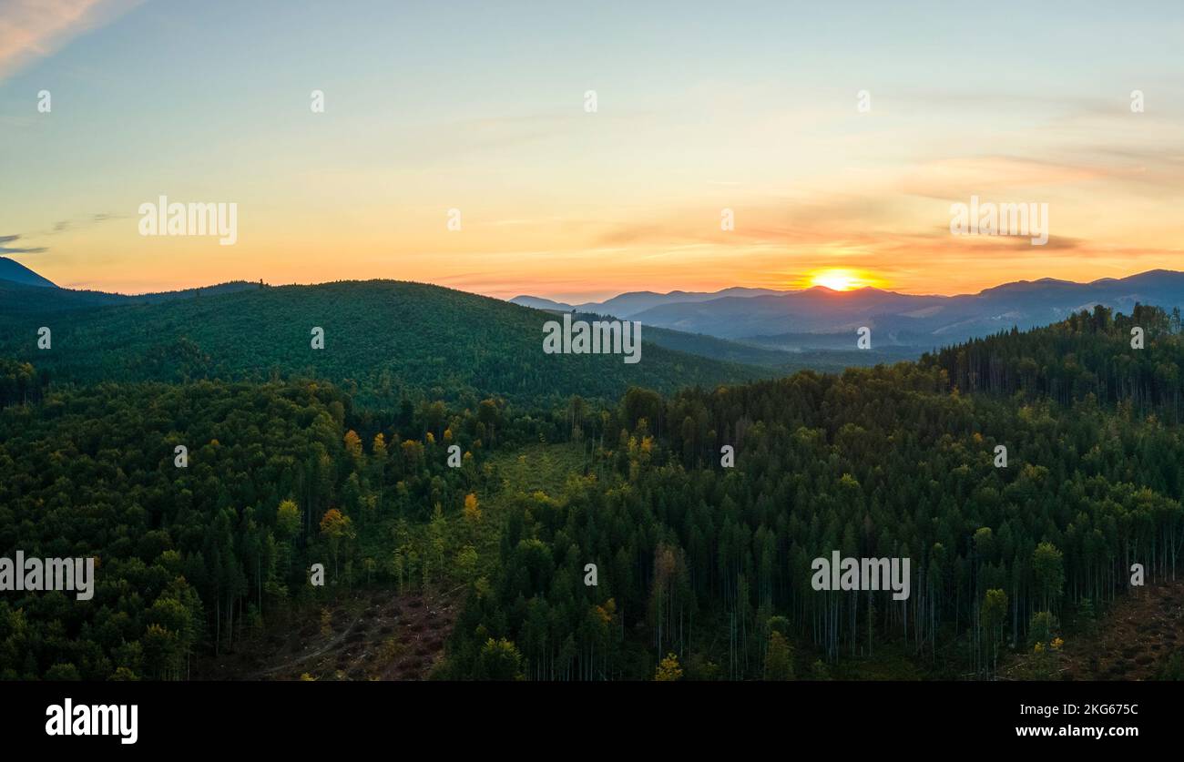 Aerial view of dark mountain hills covered with cut down forest pine ...