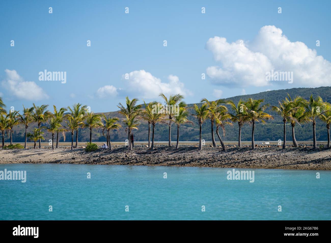tourist boats and tour boats in the whitsundays queensland, australia ...