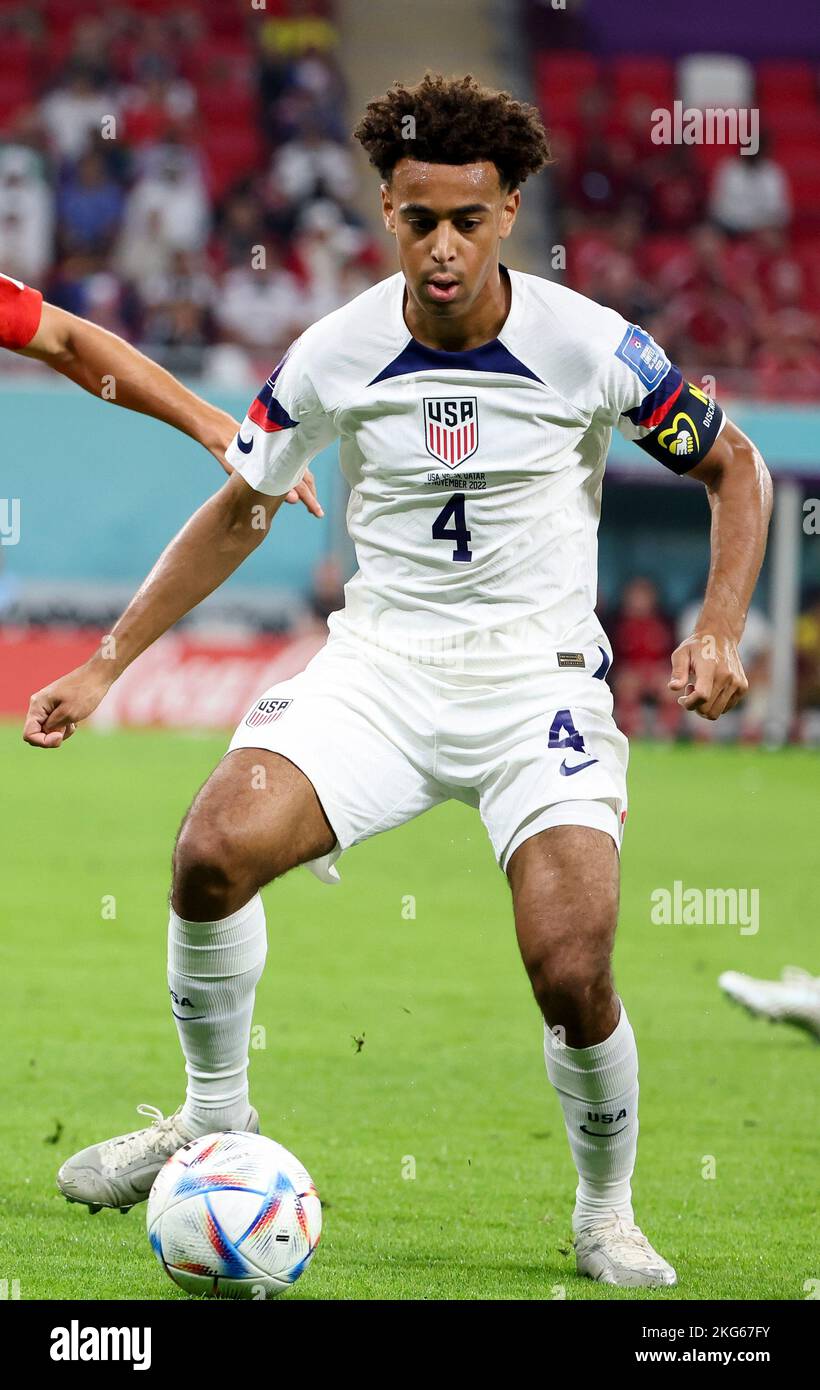 Tyler Adams of USA during the FIFA World Cup 2022, Group B football ...