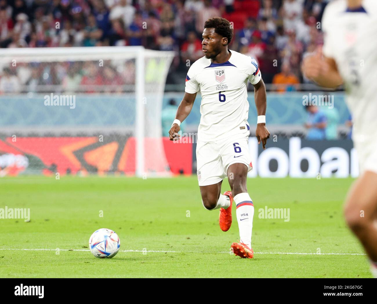 Yunus Musah of USA during the FIFA World Cup 2022, Group B football ...