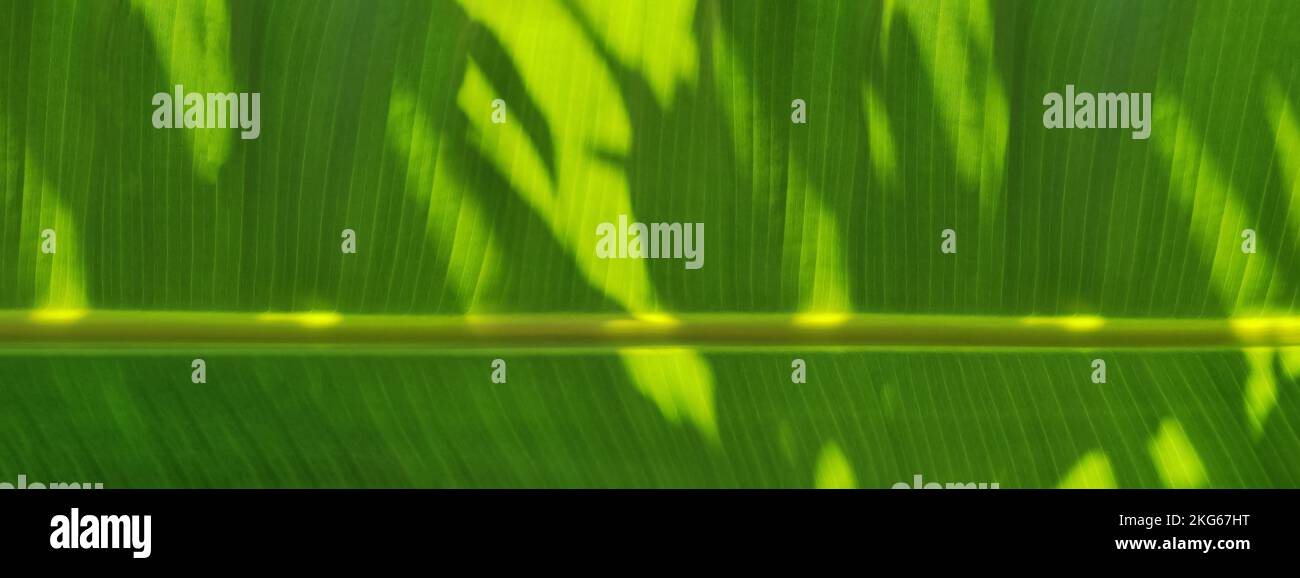 Abstract asymmetrical pattern hi-res stock photography and images - Alamy