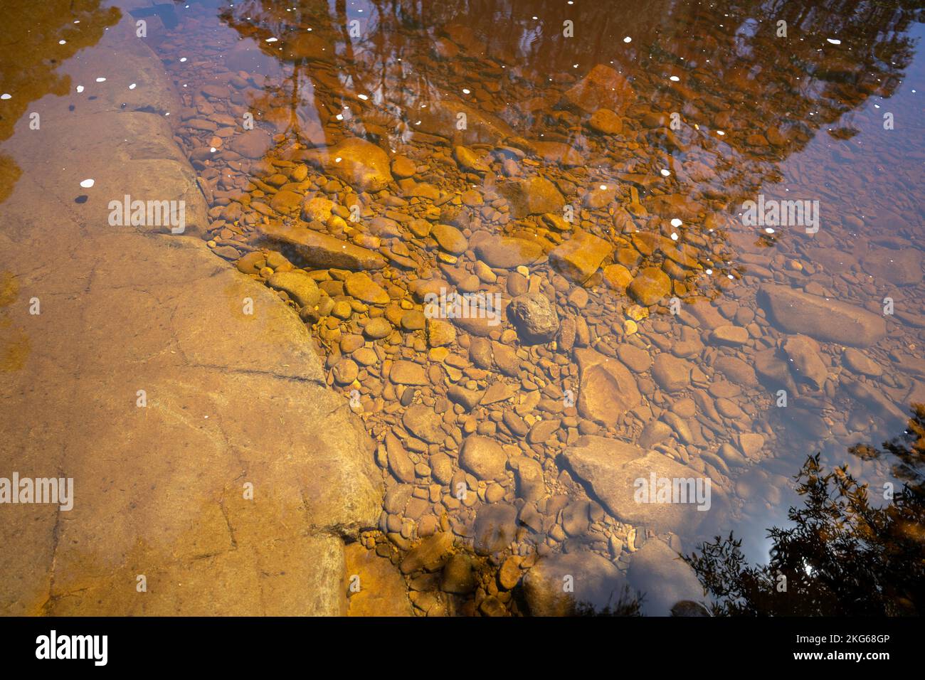 red rocks in a stream iof tannin water in australia Stock Photo - Alamy
