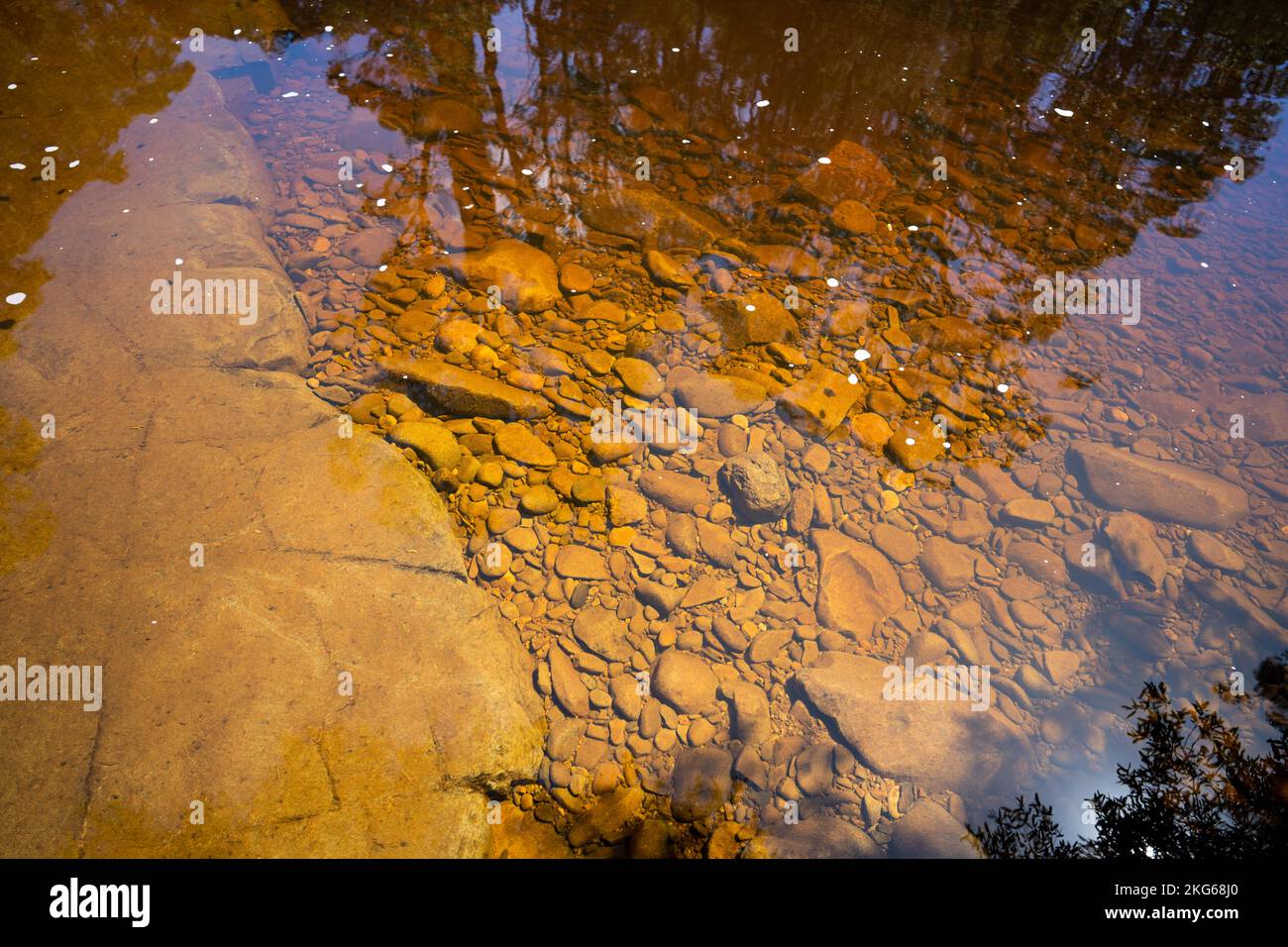red rocks in a stream iof tannin water in australia Stock Photo - Alamy