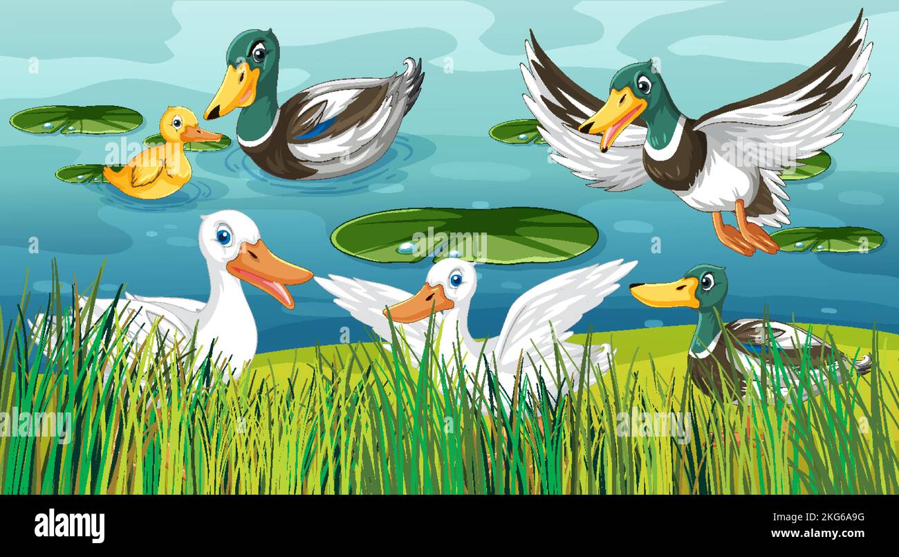Outdoor scene with cartoon ducks illustration Stock Vector Image & Art ...