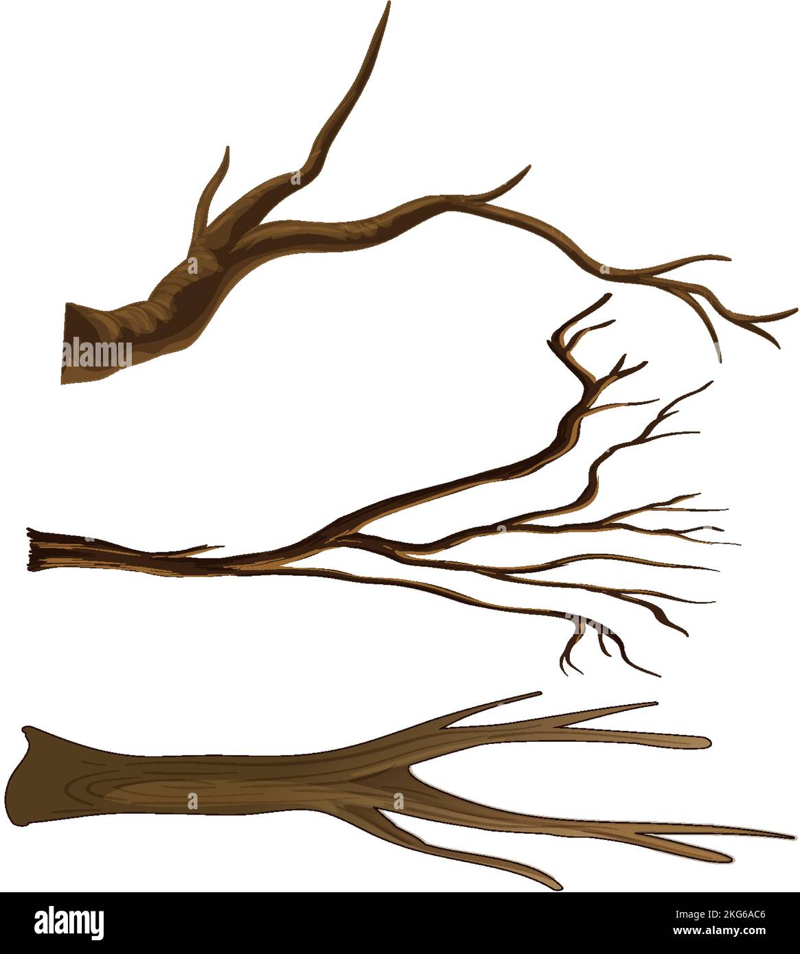 Set of different tree branches isolated illustration Stock Vector Image ...