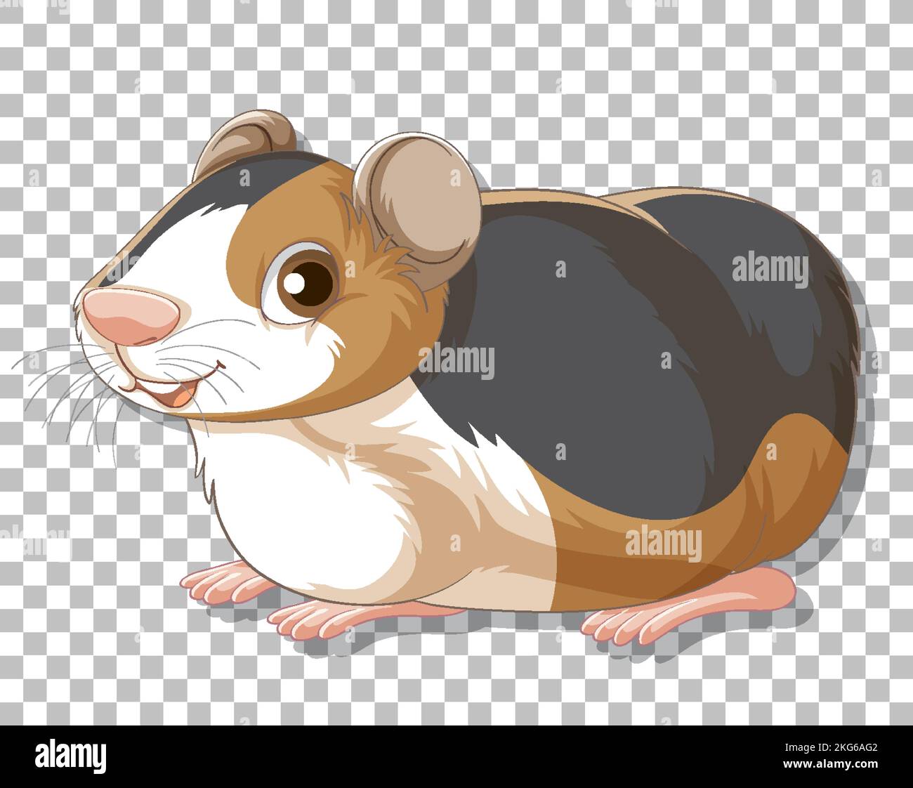 Hamster in cartoon style illustration Stock Vector Image & Art - Alamy