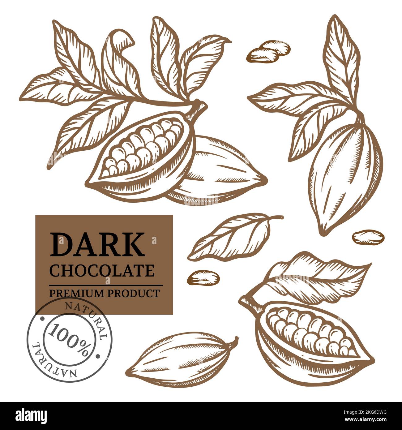 COCOA Design Of Sticker And Label For Chocolate Products In Vintage ...