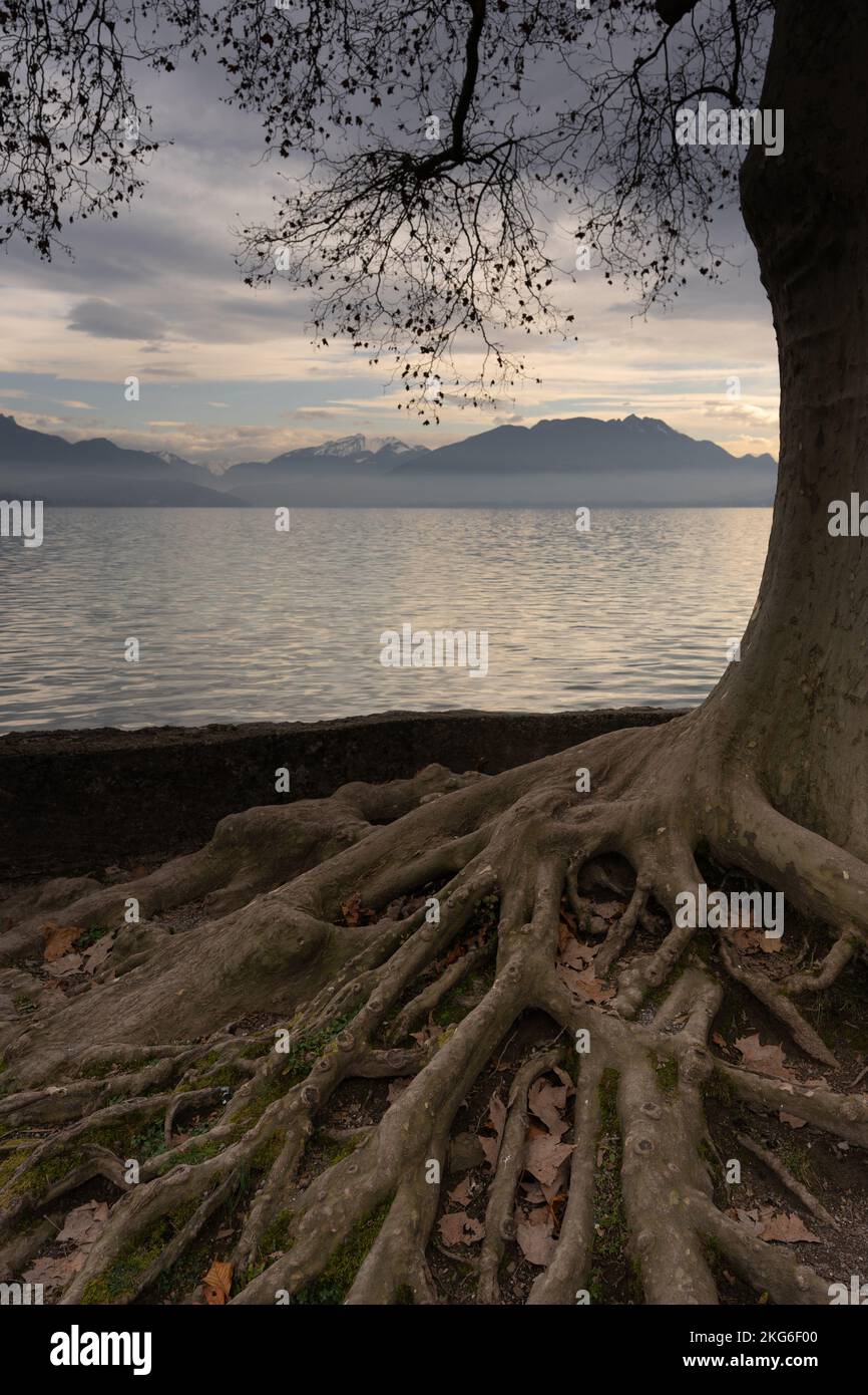 An aerial view of lake surrounded by mountains during sunset Stock ...