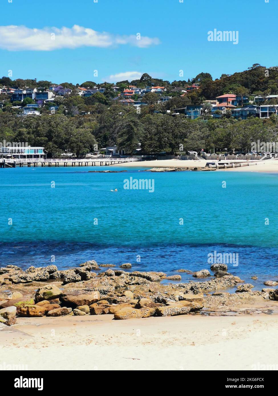 22 November 2022 - Balmoral Beach, NSW, Australia: Portrait image ...