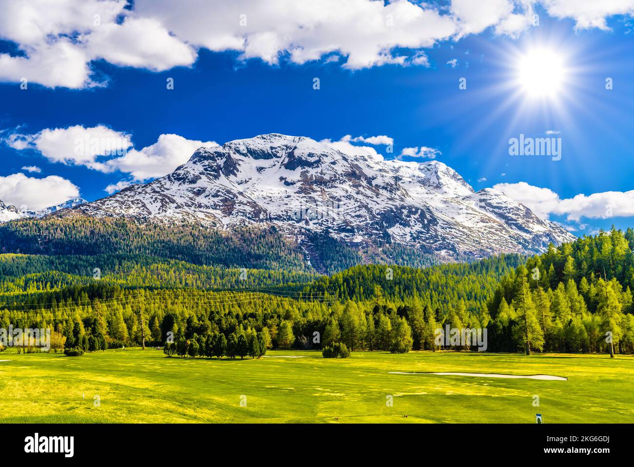 Green fields and Alps mountains coevered with forest, Samedan, Maloja ...
